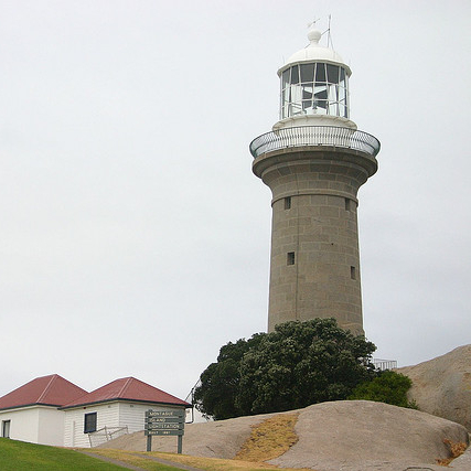 Montague Island, United States Tourist Information