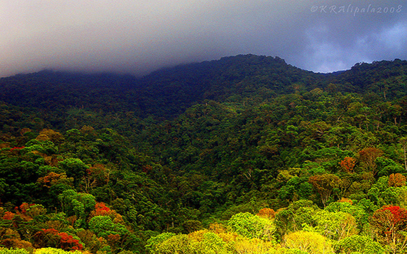 Agnay Sanctuary, Philippines Tourist Information