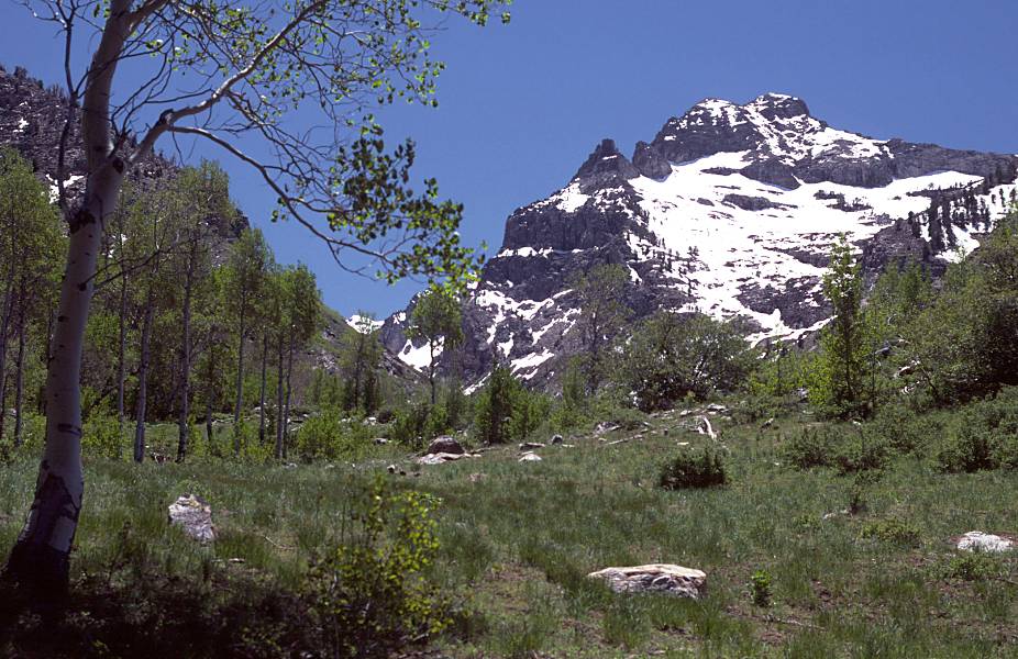 Mount Gilbert, United States Tourist Information