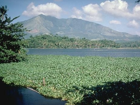 Mount Iriga, Iriga, Philippines Tourist Information
