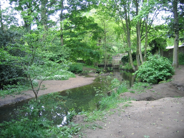 Meanwood Beck, Leeds, England Tourist Information