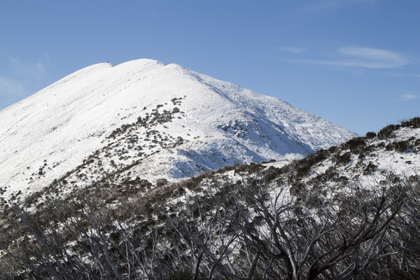 Mount Feathertop, Australia Tourist Information