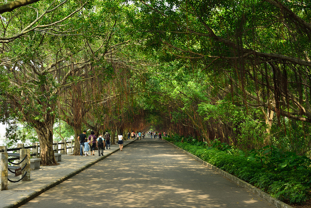 Nansha, China Tourist Information