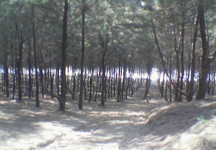 Nargol, India Social Travel Network - Touristlink