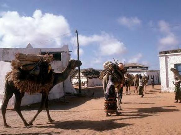 Gabiley, Somalia Social Travel Network - Touristlink