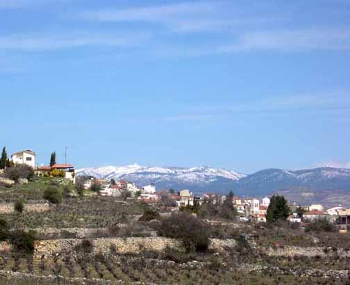 Pachna, Cyprus Tourist Information