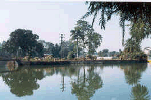 Padum Pukhuri Lake, Tezpur, India Tourist Information
