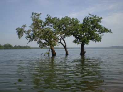 Pakhal Lake, Warangal, India Tourist Information