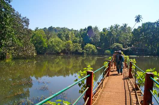 Picnic Spots near North Goa, India