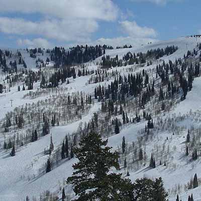 Powder Mountain, United States Tourist Information