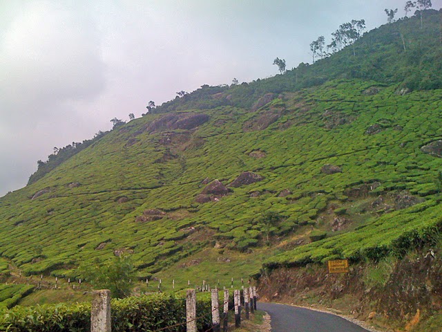 Pothamedu View Point, Munnar, India Tourist Information