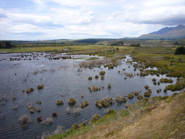 Rakatu Wetlands, New Zealand Tourist Information