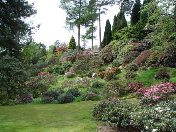 Benmore Botanic Garden, Scotland Tourist Information