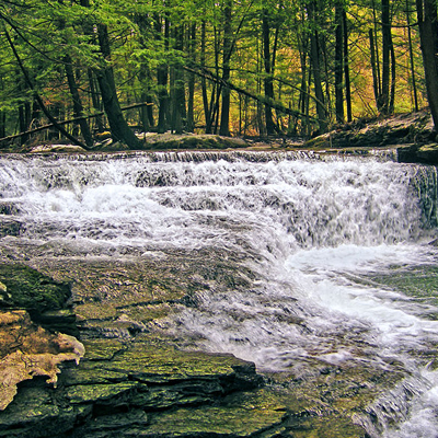 Salt Springs State Park, United States Social Travel Network - Touristlink
