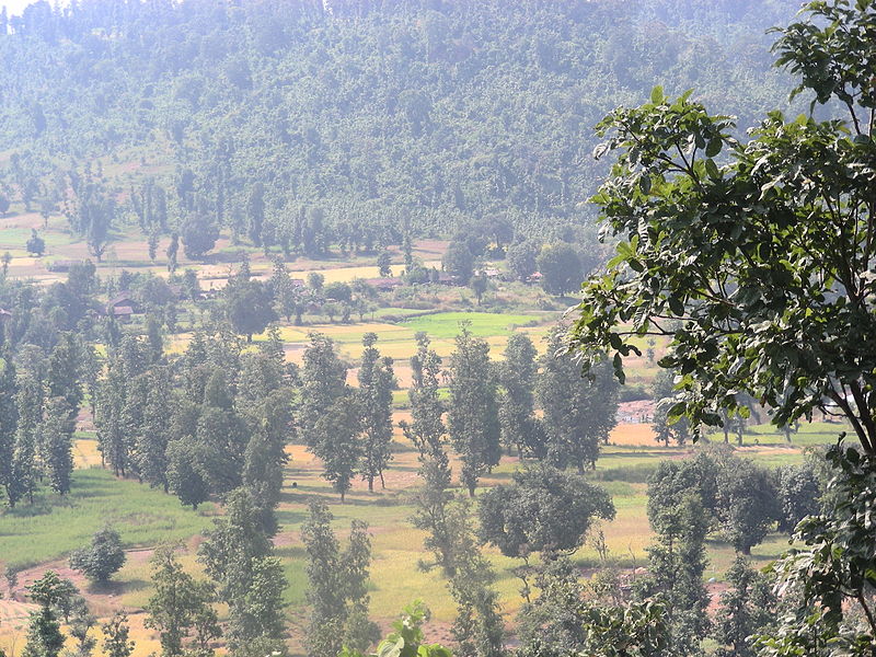 Saputara Hills, Surat, India Tourist Information