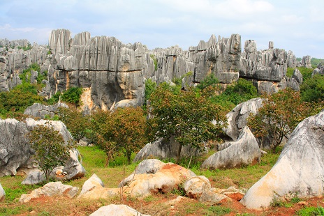 Stone Forest, China Tourist Information
