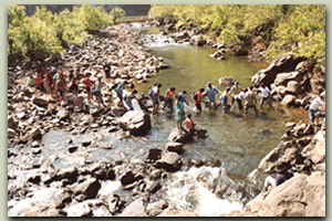 Sundarvan, India Tourist Information