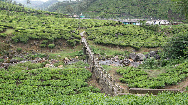 Elephant Lake, Munnar, India Tourist Information