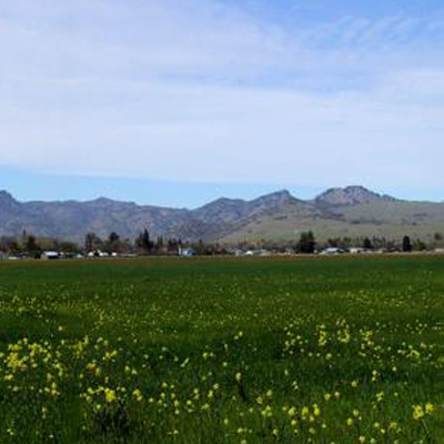 Sutter Buttes, United States Tourist Information