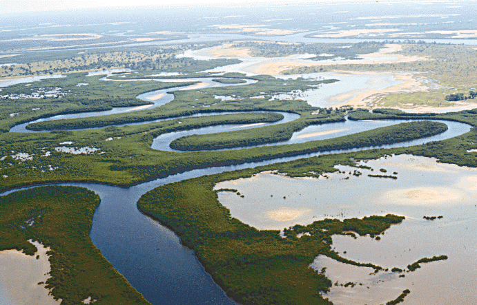 Saloum Delta National Park, Senegal Social Travel Network - Touristlink