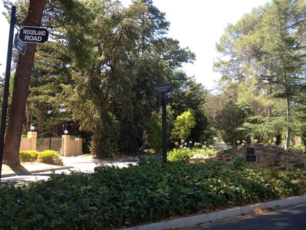 Springfield, Australia Tourist Information