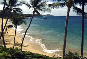 Mypad Beach Nellore, Nellore, India Tourist Information