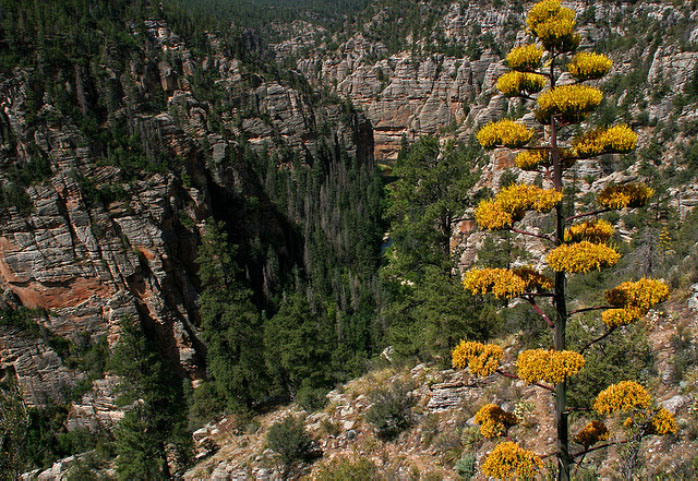 Tramway Trail, United States Tourist Information