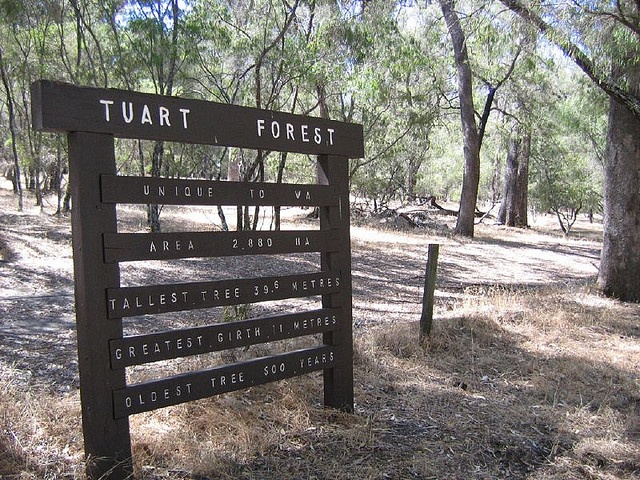 Tuart Forest National Park, Australia Social Travel Network - Touristlink
