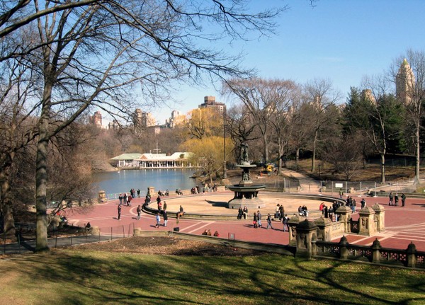 The Ramble And Lake Central Park, New York City, United States Tourist ...