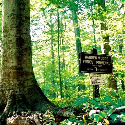 Warren Woods State Park, Sawyer, United States Social Travel Network ...