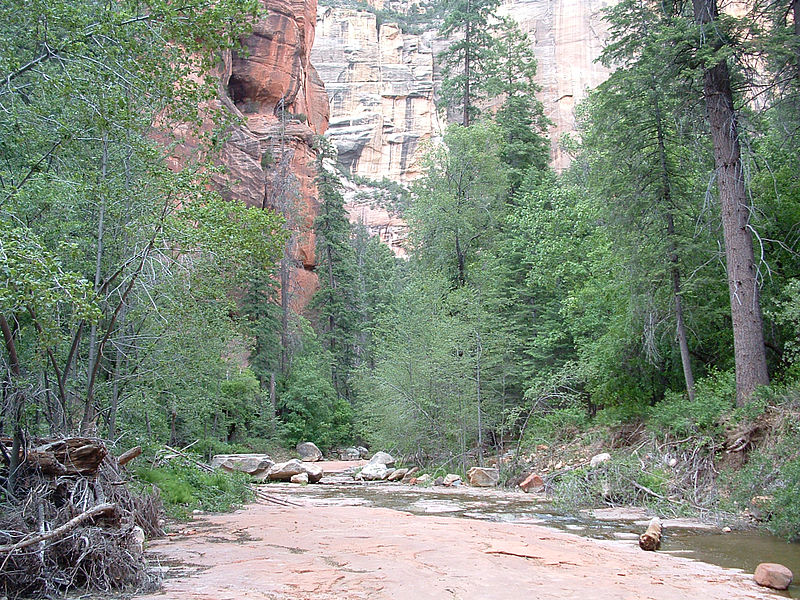 West Fork Trail, United States Tourist Information