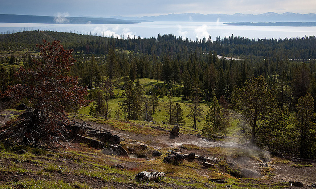Yellowstone Lake Overlook Trail, United States Tourist Information