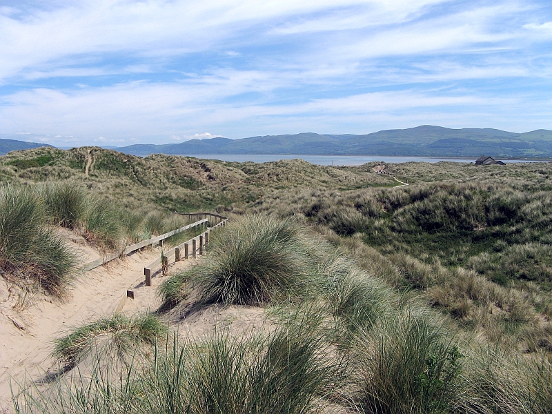 Ynyslas Sand Dunes, Wales Tourist Information